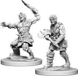 d&d nolzurs marvelous unpainted miniatures: wave 6: nameless one