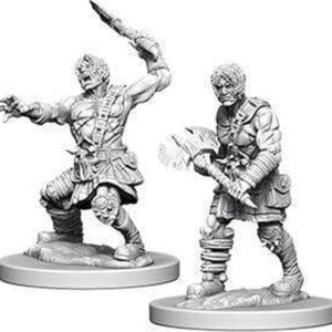 D&D Nolzurs Marvelous Unpainted Miniatures: Wave 6: Nameless One