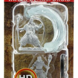 WizKids D&D Nolzurs Marvelous Unpainted Miniatures: Wave 5: Water Genasi Male Druid