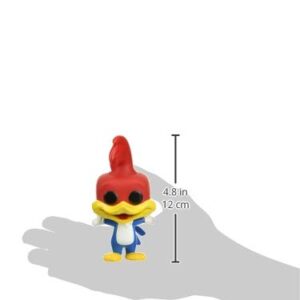 Funko Pop Animation: Woody Woodpecker - Woody (Styles May Vary) Collectible Figure, Multicolor