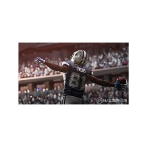 Madden NFL 19 (PS4)