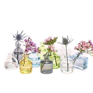 chive ‘loft’ small mini flower vases - clear glass bud vases, set of 10 color - cute vintage rustic centerpieces for wedding, events & home - premium quality, designed to last