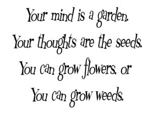 inspirational, motivational vinyl wall art decal sticker "your mind is a garden, your thoughts are the seeds. you can grow flowers, or you can grow weeds." (black)