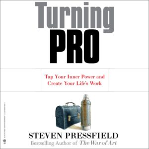 turning pro: tap your inner power and create your life's work