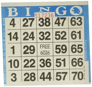 american games 1on blue bingo paper (500 sheets),cards included