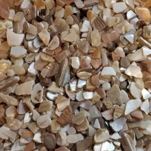 beachwalk small natural crushed shells - for weddings, vase filler, home décor, and crafts (32 oz (2 lb), natural pearl)