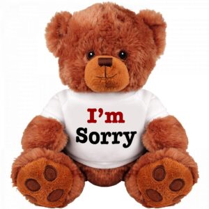 i am sorry teddy bear - cute and cuddly : funny teddy bear couple gift : romantic medium teddy bear stuffed animal