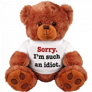 "sorry i'm such an idiot" 13" inch teddy bear - cute and cuddly : funny teddy bear couple gift : romantic cute teddy bear stuffed animal