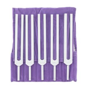 biosonics set of 5 brain tuning forks - includes 5 tuning forks, pamphlet, & velvet bag/developed based on brain wave studies