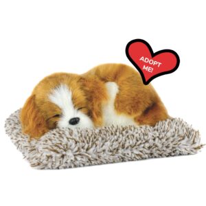 perfect petzzz mini cavalier king charles, realistic battery-operated dog toy, calming companion for kids & elderly