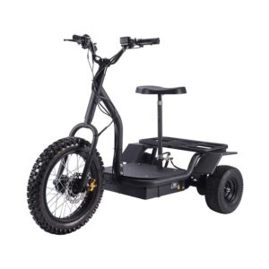 mototec electric trike 48v 1200w