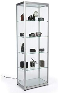 displays2go locking glass display case, illuminated – silver (dckdmt24s)