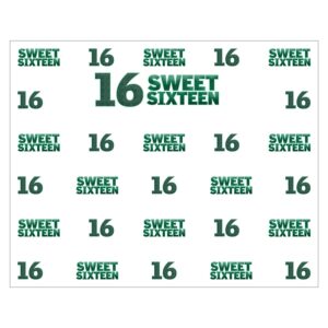 bannerbuzz sweet sixteen step and repeat banner, print only, 11 oz. pvc flex , 720 dpi eco-solvent printing, for events and parties, photography background (8'w x 10'h)