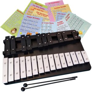 large xylophone 25 notes chromatic glockenspiel, bag, sheet music cards, 45-song ebook