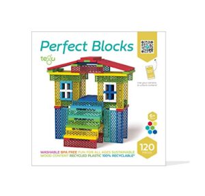 tegu 120 piece perfect blocks building set, rainbow (amazon exclusive)