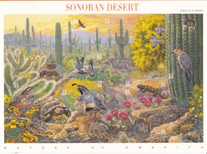 postage stamp us scott 3293 sonoran desert full sheet of ten 33 cent stamps