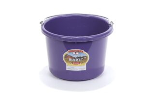 little giant® plastic animal feed bucket | round plastic feed bucket with metal handle | made in usa | 8 quarts | purple