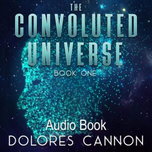 the convoluted universe: book one