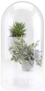 displays2go large glass dome display with baseless design, 12" x 24" — clear (dcgdomel)