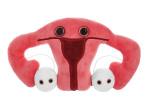 giantmicrobes uterus plush toy, uterus stuffed animal, uterus gifts, uterus plush, hysterectomy gifts, endometriosis gifts, gynecologist gifts,obgyn gifts, feminist gifts, fertility gift,get well gift