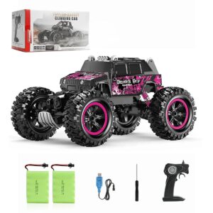 songtai remote control car, purple rc truck 4x4 off-road waterproof function 360° rotation, suitable for boys, girls, adult and children's toy