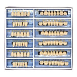 rzjzgz 168 pcs dentures resin teeth halloween fake teeth vampire horror teeth fangs for halloween party cosplay props horror party favorsa2 …