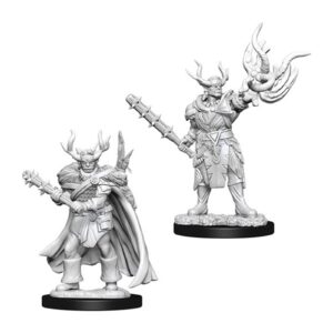 wizkids pathfinder deep cuts unpainted miniatures: wave 10: male half-orc druid