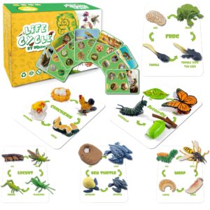 life cycle figures of frog, chicken, sea turtle, butterfly, wasp, locust, science toys kit, animal figures for kids age 3-12