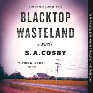 blacktop wasteland: a novel