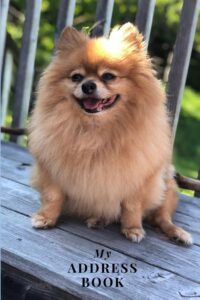 my address book: pomeranian | address book for names, addresses, phone numbers, e-mails and birthdays