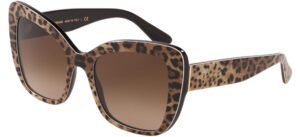 dolce & gabbana women's modern rectangular sunglasses, leo brown on black, 54