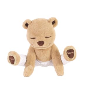 meddy teddy the yoga bear