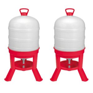 little giant 10 gallon tank heavy duty poultry chicken gravity waterer (2 pack)