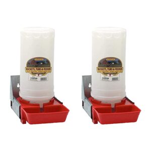 little giant bpw4 1-gallon impact resistant translucent polyethylene piglet waterer (2 pack)