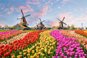 varwaneo 500 pieces puzzle for adults educational intellectual jigsaw puzzle fun game for men women kids(dutch windmill)