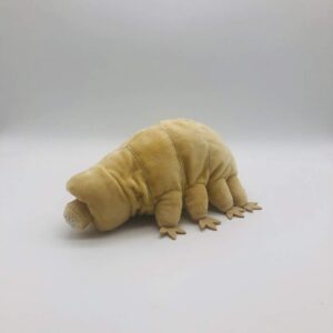 tammyflyfly lifelike sea creature tardigrade water bear plush, stuffed animal doll