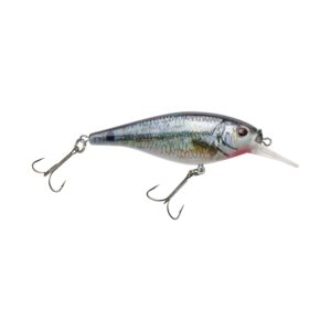 berkley flicker shad shallow fishing lure, hd spottail shiner, 2/7 oz, 2 3/4in | 7cm crankbaits, size, profile and dive depth imitates real shad, equipped with fusion19 hook