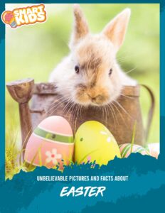 unbelievable pictures and facts about easter