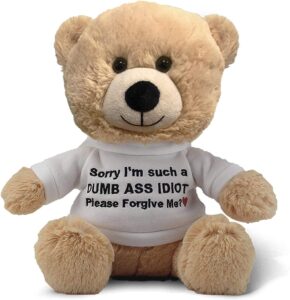 sorry i'm an idiot" 10" teddy bear with gift bag - cute funny apology plush for girlfriend, boyfriend, best friend