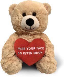 i miss your face so effin much - 10" teddy bear & gift bag - funny stuffed animal plush gift for girlfriend, boyfriend, best friend - birthday, anniversary, valentines, or long distance - witty bears