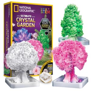 national geographic craft kits for kids - crystal growing kit - grow a crystal garden in just 6 hours, educational craft art project, stem crafts for girls ages 8 9 10 11 & 12 (amazon exclusive)