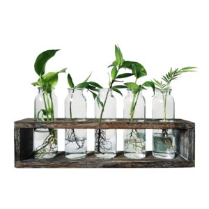 katoonx flower vase set with wood rack plant terrariums kit for hydroponics plants home garden wedding centerpiece decor (rustic)