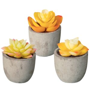 3 piece yellow decor artificial succulent plants in grey pots realistic greenery mini potted faux plant arrangements for home decor office room dorm bathroom restroom kitchen table centerpieces