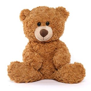 tezituor small teddy bear stuffed animals 18inch, cute little teddy bear plush toys for kid girl boy (brown)