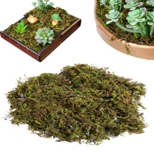 abaodam moss for potted plants flowers live plant fake artificial crafts green simulation lifelike fake moss artificial plants faux lichen for decoration home garden（60g each pack