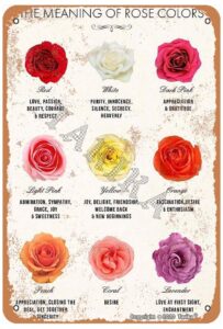 the meaning of rose colors iron 20x30 cm vintage look decoration crafts sign for home kitchen bathroom farm garden garage inspirational quotes wall decor