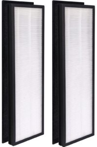 2-pack replacement filter