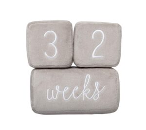 pearhead baby plush photo sharing milestone age blocks, picture prop, set of 3 blocks, gray