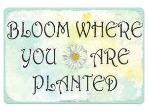 bloom where you are planted 8x12 inch tin retro look decoration crafts sign for home kitchen bathroom farm garden garage inspirational quotes wall decor