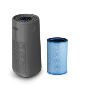 airthereal bundle | agh550 true hepa air purifier and 1-pack spare h13 medical grade replacement filter, glory days